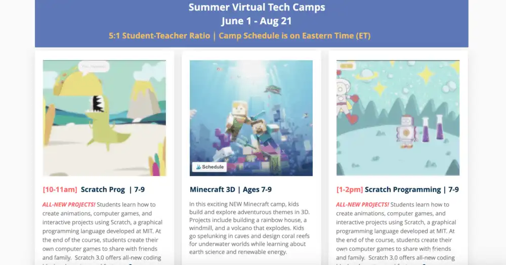 25 Addictively Fun Virtual Summer Camp Activities - Made In A Pinch