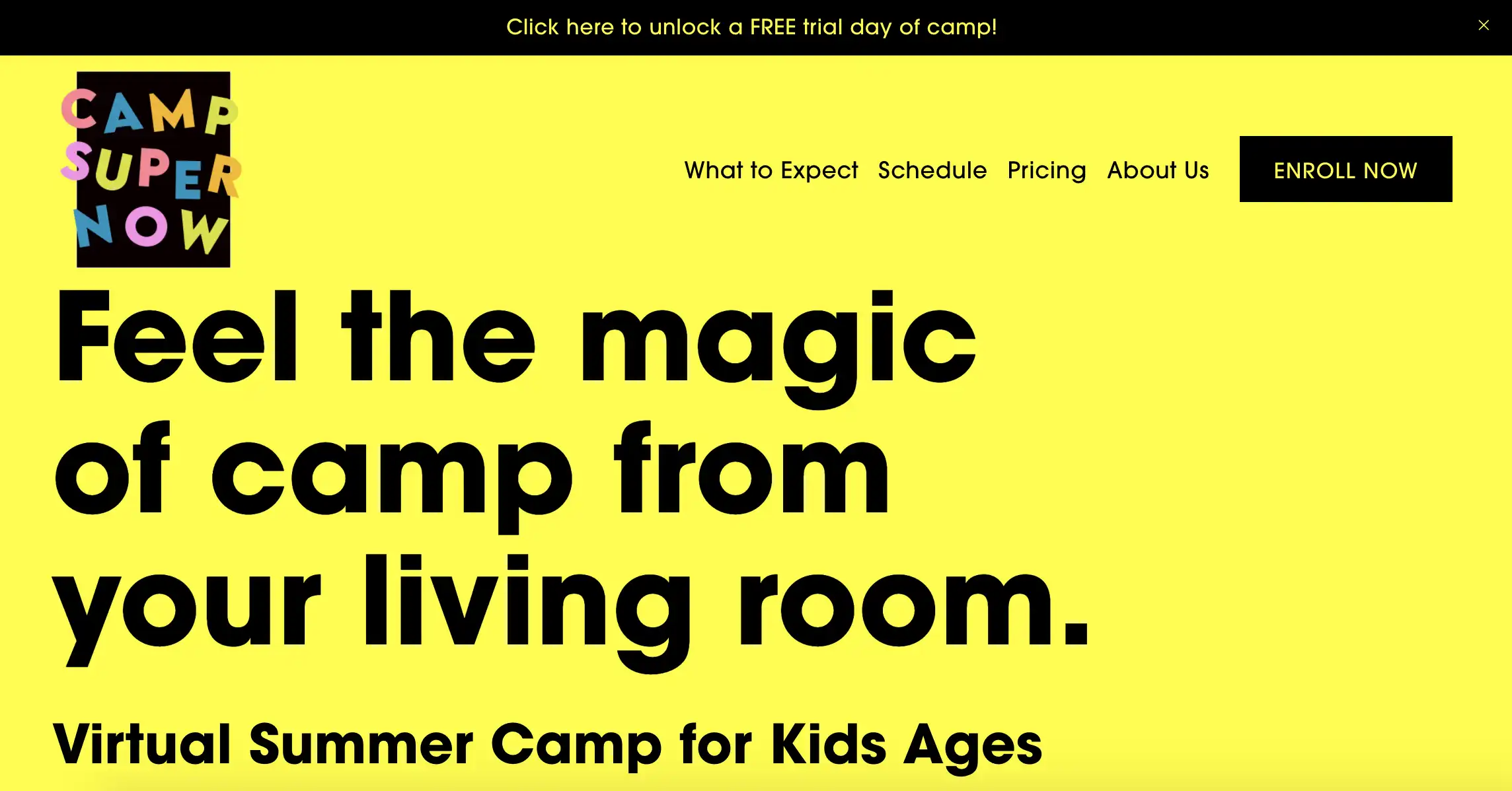 25 Addictively Fun Virtual Summer Camp Activities - Made In A Pinch