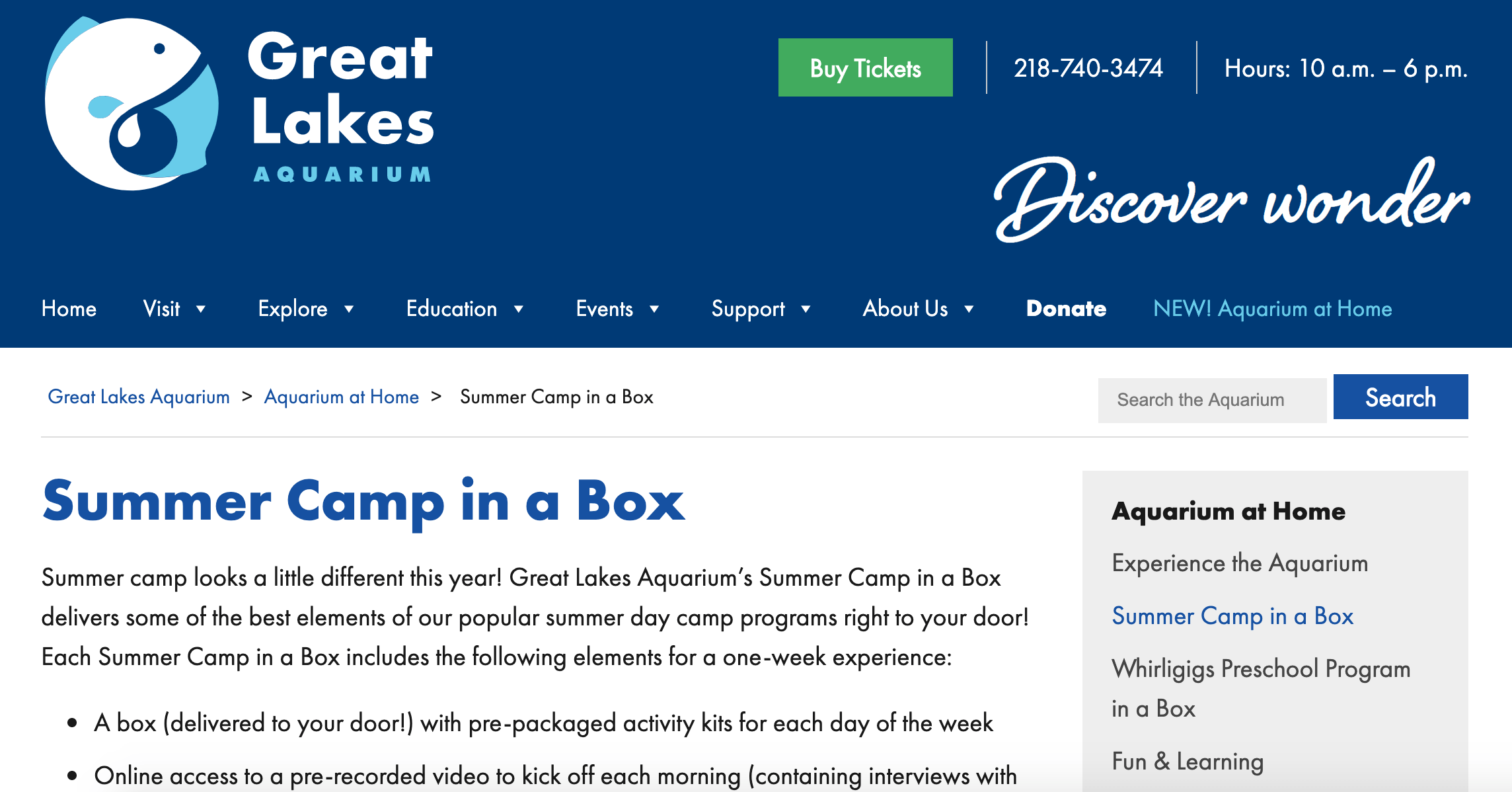 25 Addictively Fun Virtual Summer Camp Activities - Made In A Pinch