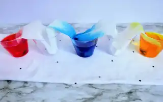 Fun & Easy Rainbow Walking Water Experiment - Made In A Pinch